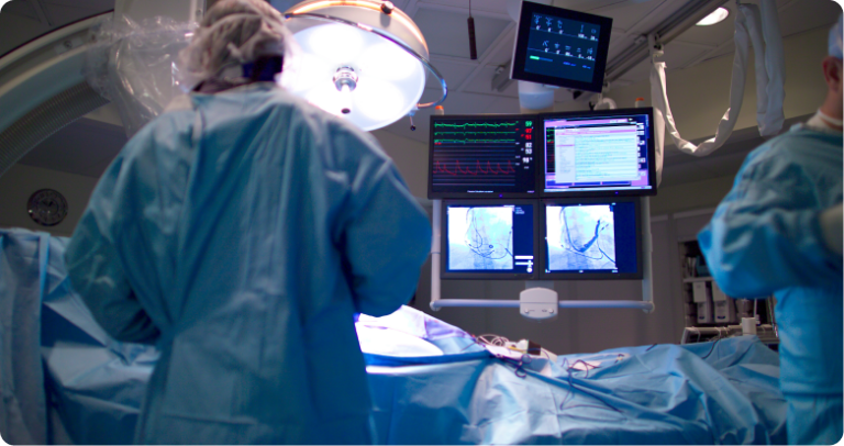 Company Overview - AVS Pulse, Inc